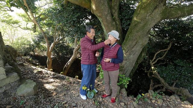 한국기행 지금, 이 순간 화양연화 2부 추도 섬 부부가 사는 법