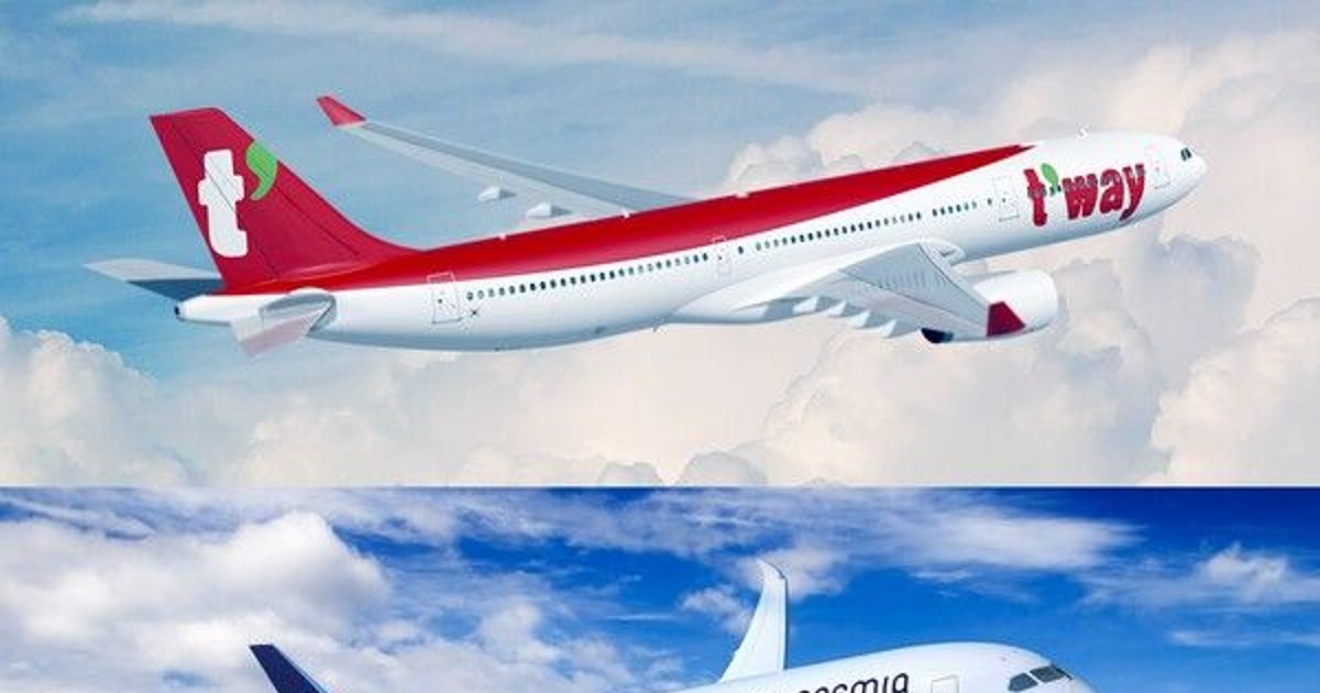 대한항공-아시아나 합병 나비효과? LCC업계 ‘지각변동’