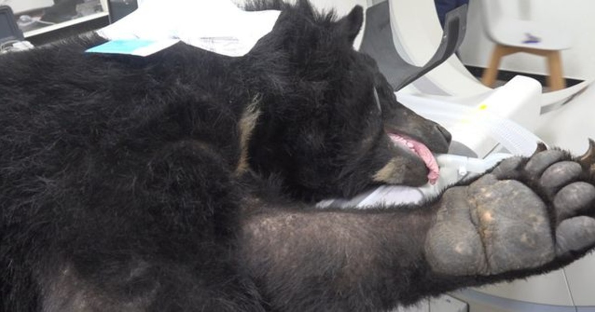 EBS1 '극한직업' 동물원 外